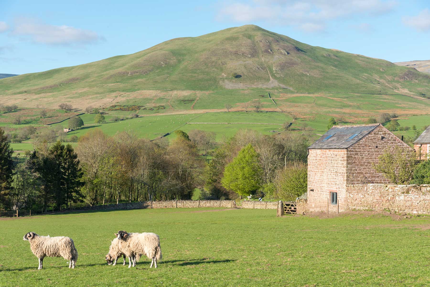 4 great reasons to make Shepherds View the base for your next ...